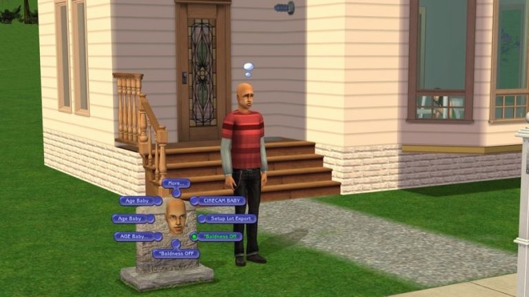 How To Use The Sims 2 Tombstone of Life & Death with Pics