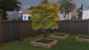 How to Get the Money Tree in Sims 4 (Make Tons of Money!)